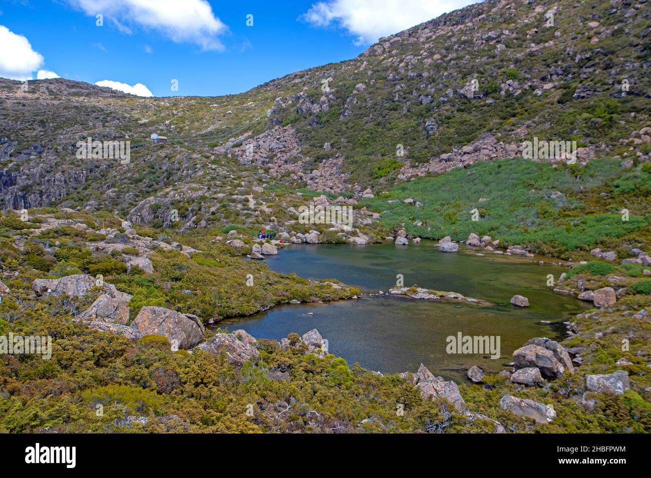 Tarn Shelf, Mt Field National Park Stock Photo - Alamy