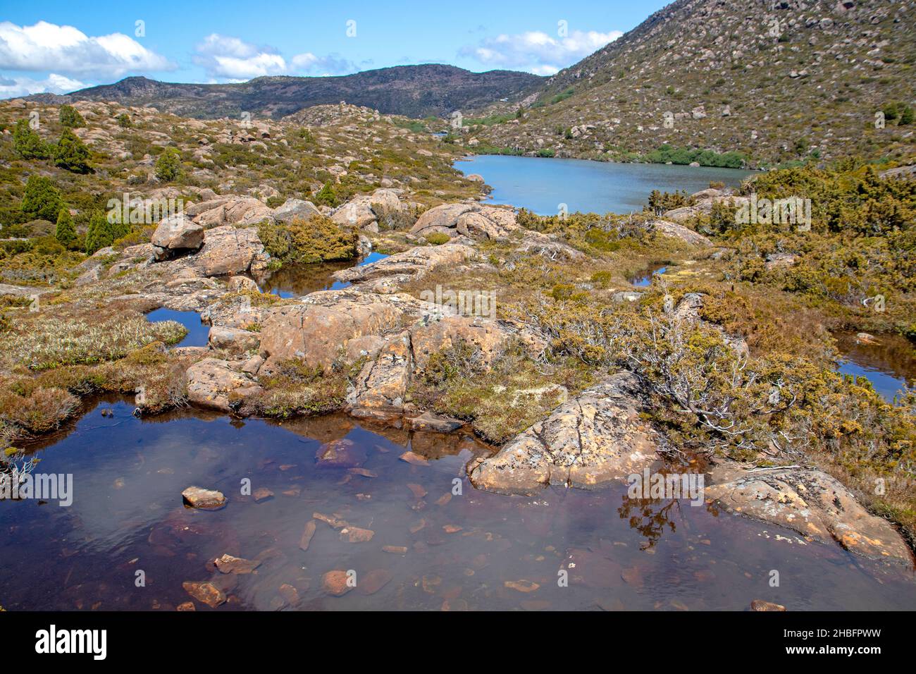 Tarn Shelf, Mt Field National Park Stock Photo - Alamy