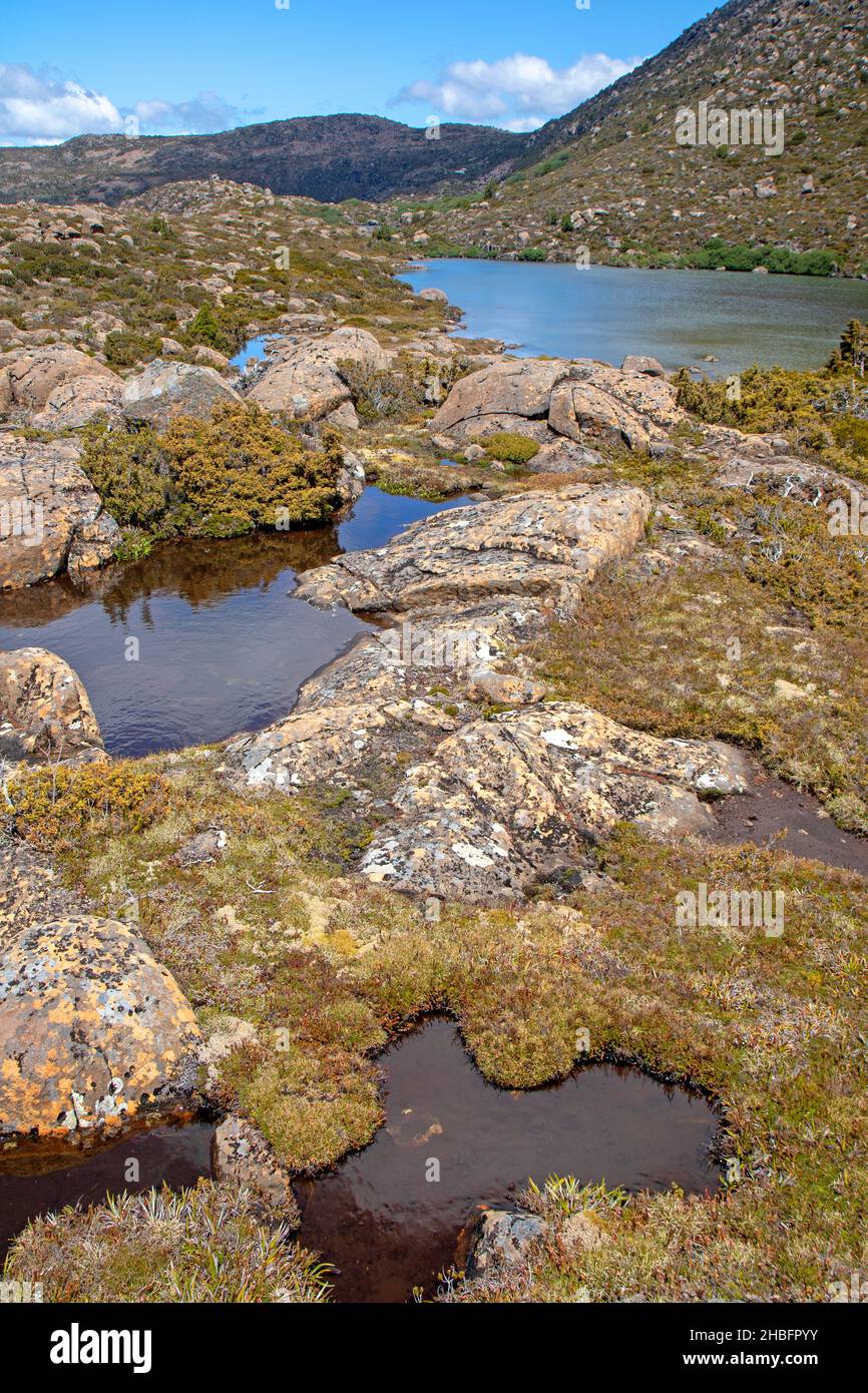 Tarn Shelf, Mt Field National Park Stock Photo - Alamy