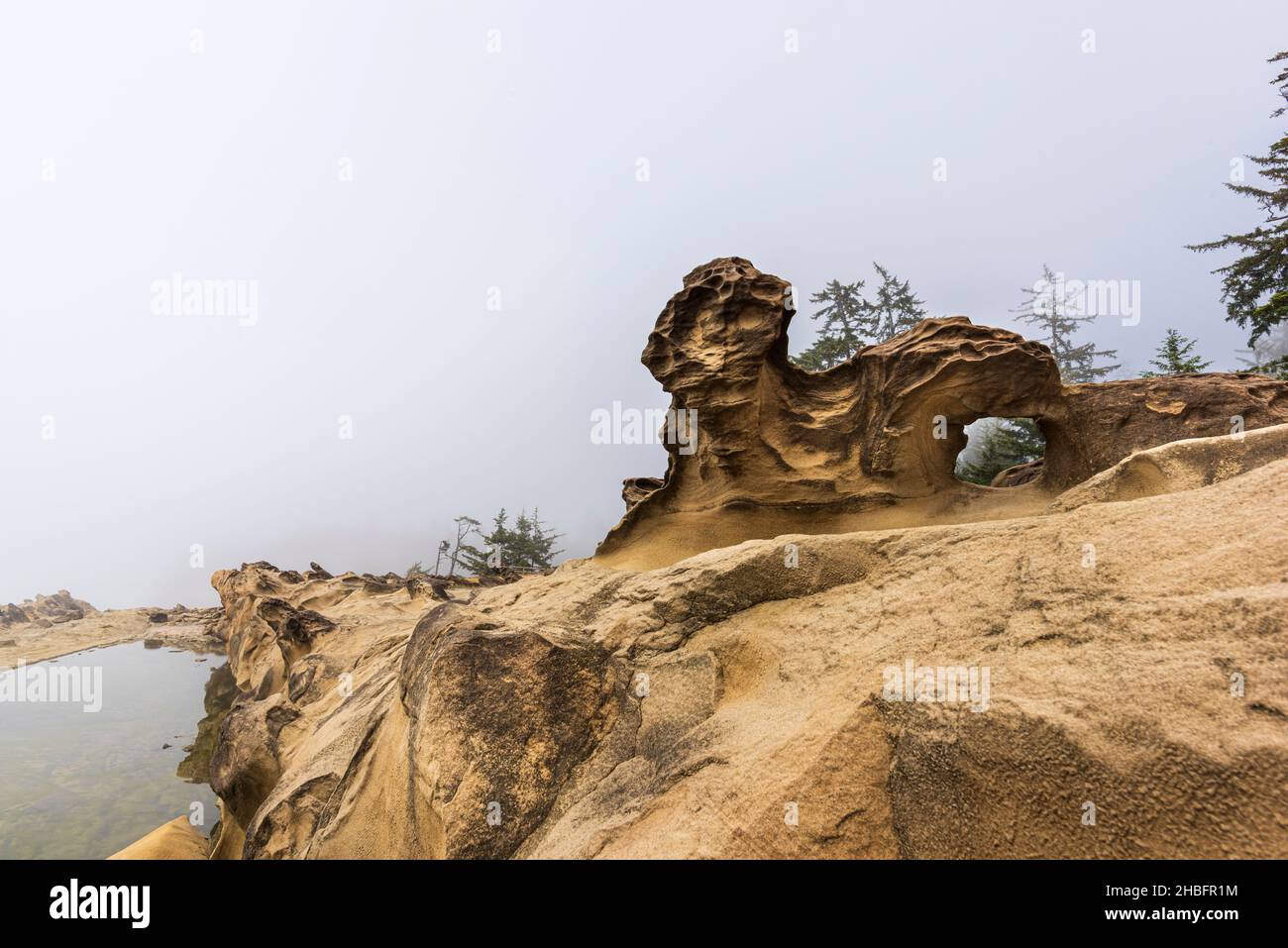 Whimsical sandstone formations at Pacific Coast, Shore Acres State Park ...