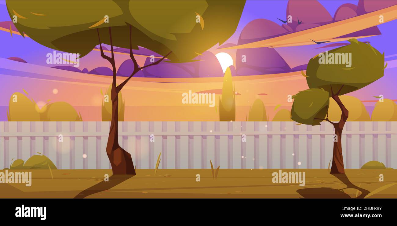 Backyard with fence, grass and trees at sunset. Vector cartoon ...
