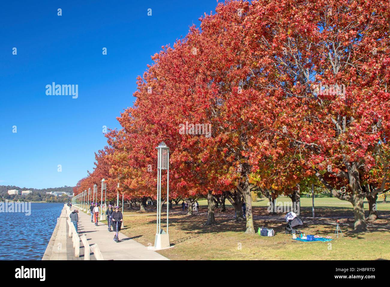 Autumn colour on the shores of Lake Burley Griffin, Canberra Stock Photo - Alamy