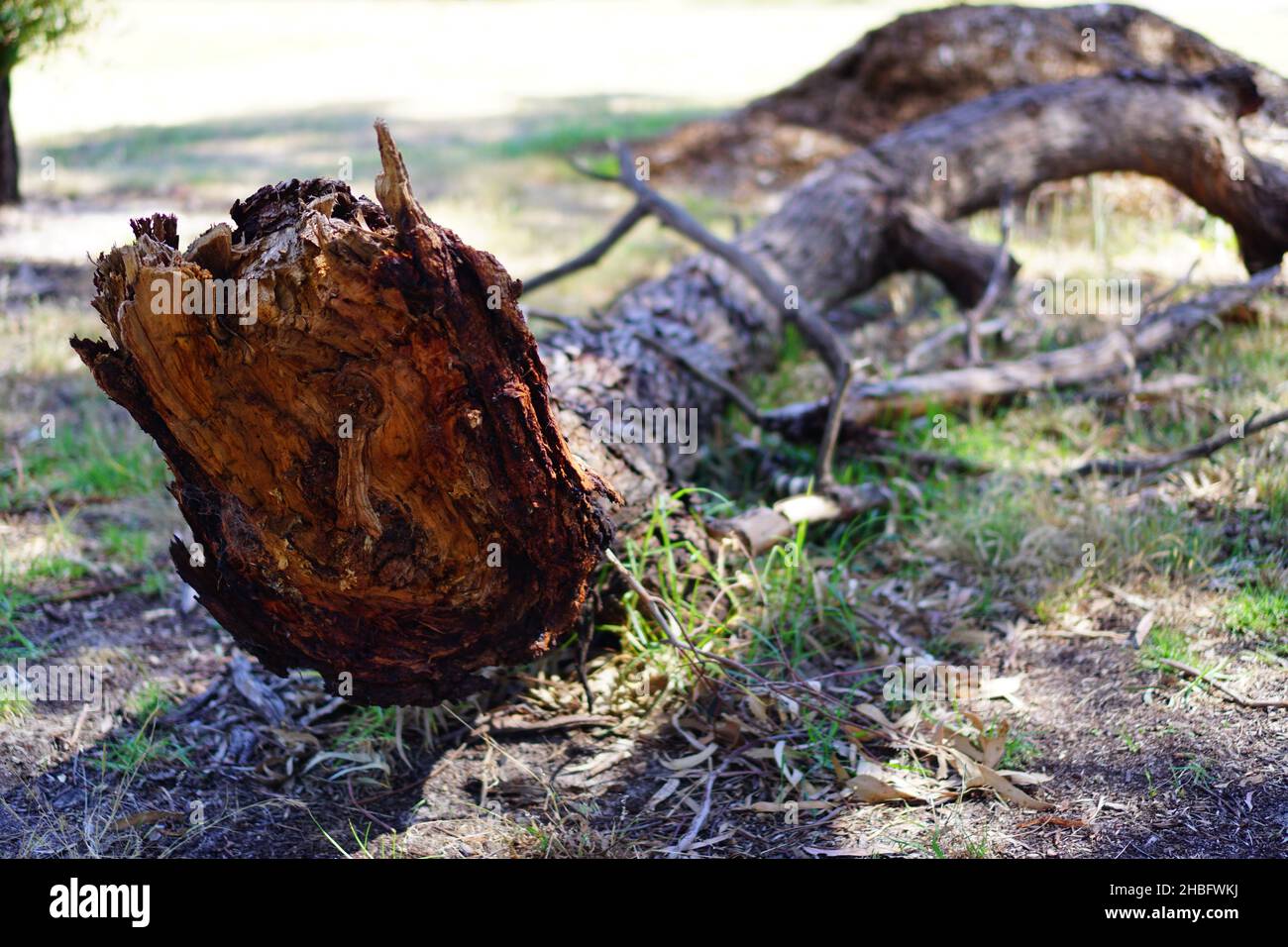 Chop off hi-res stock photography and images - Alamy