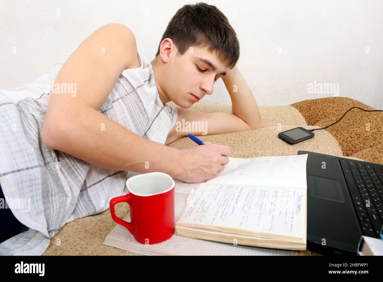 Teenager doing Homework on the Sofa with Laptop and many Books Stock ...