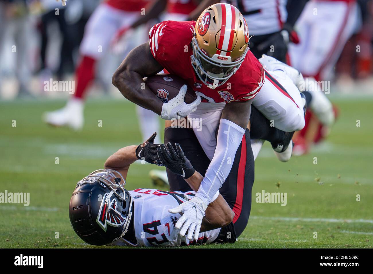 Terrell falcons hi-res stock photography and images - Alamy