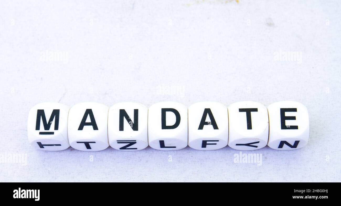The term mandate isolated on a clear background image with copy space ...