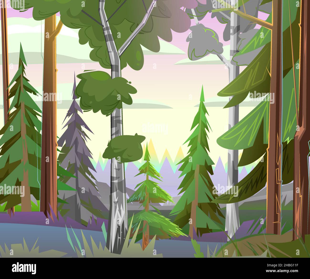 Birch in a pine forest. Beautiful scene in nature. Nice summer ...