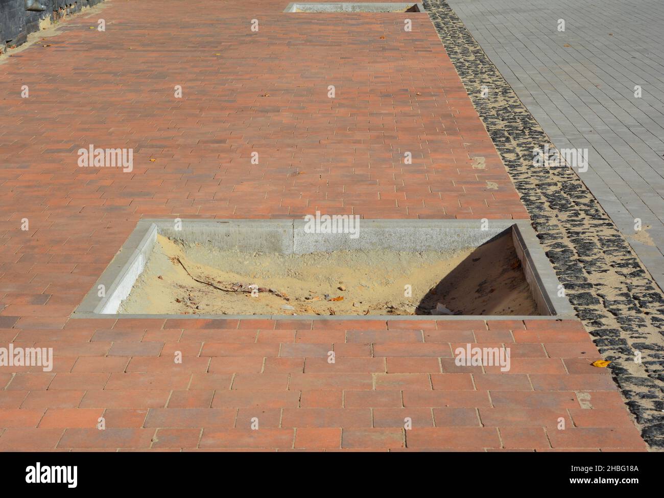 An empty tree pit in paved surrounds. Making a tree pit to plant trees ...