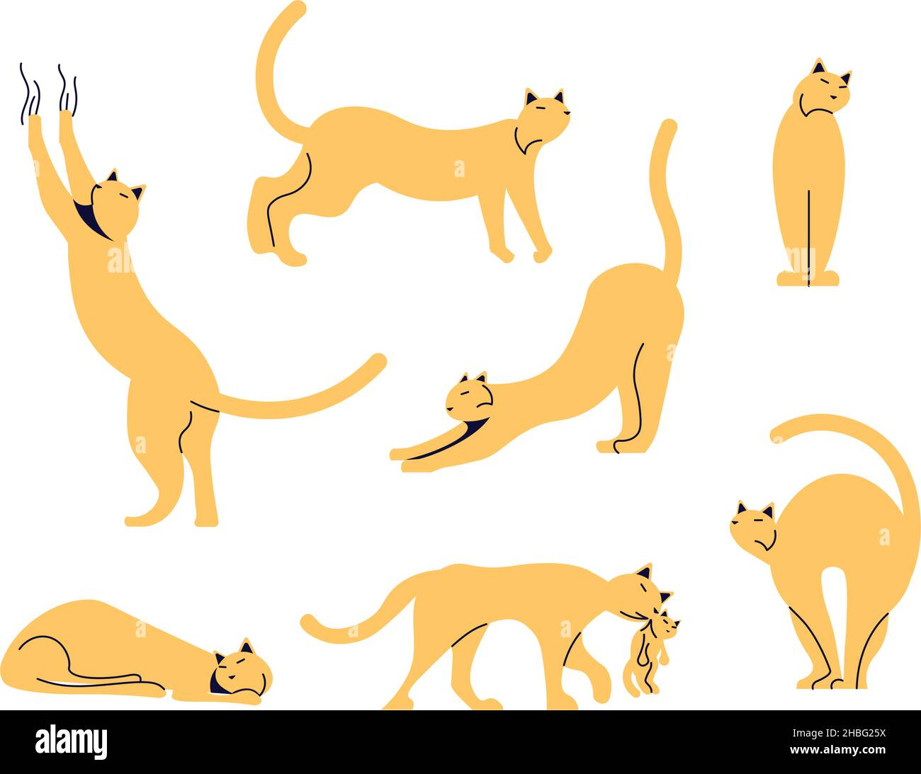 Set of funny cats isolated on white. Variety pats in different poses ...