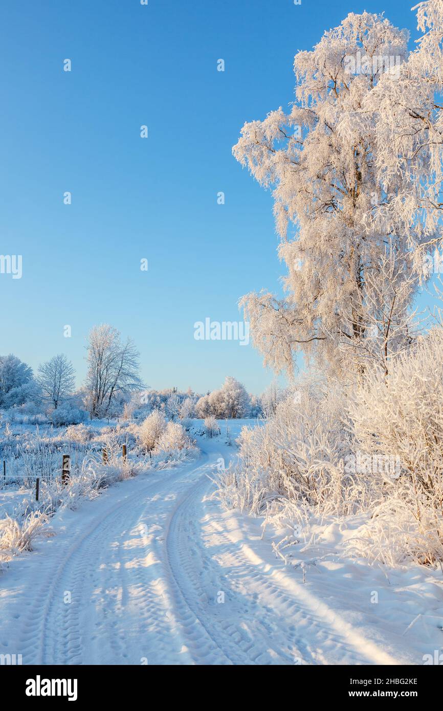 Winding country road in a snowy winter landscape Stock Photo - Alamy