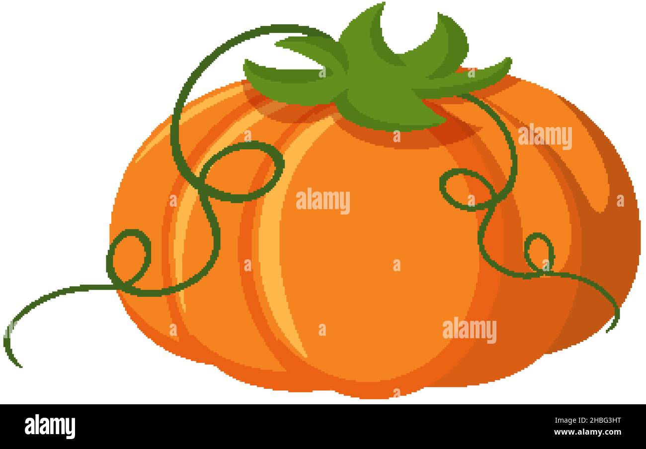 Orange pumpkin in cartoon style illustration Stock Vector Image & Art ...