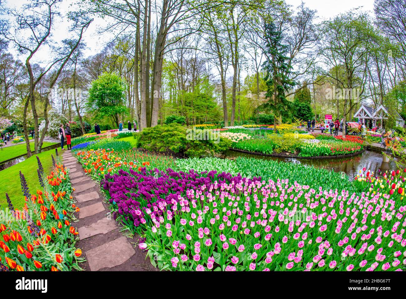 AMSTERDAM, THE NETHERLANDS - APRIL 26TH, 2015: Keukenhof tulip gardens ...