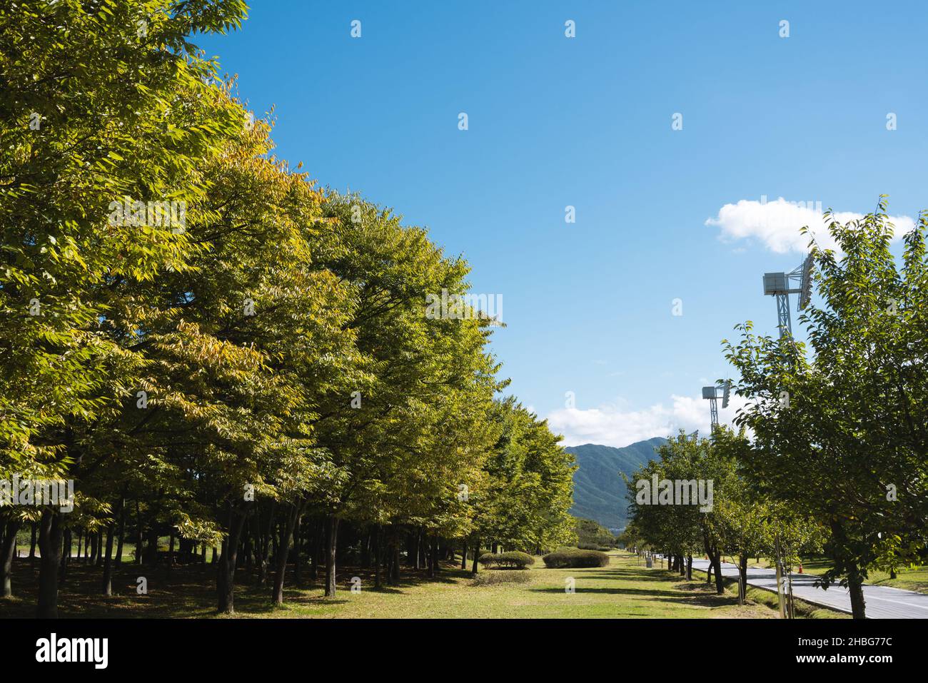 Misa Gyeongjeong Park green forest in Hanam, Korea Stock Photo - Alamy