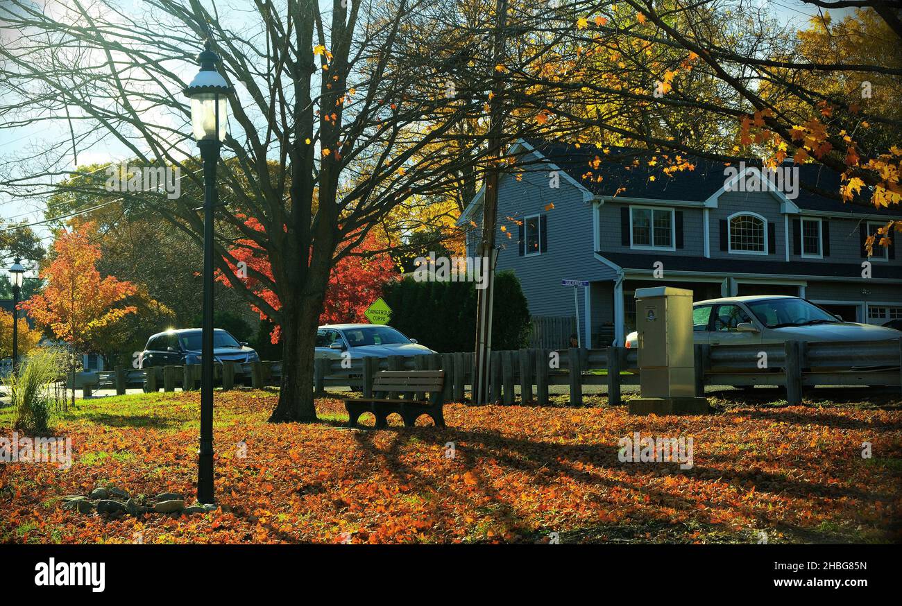 Park ridge hi-res stock photography and images - Alamy