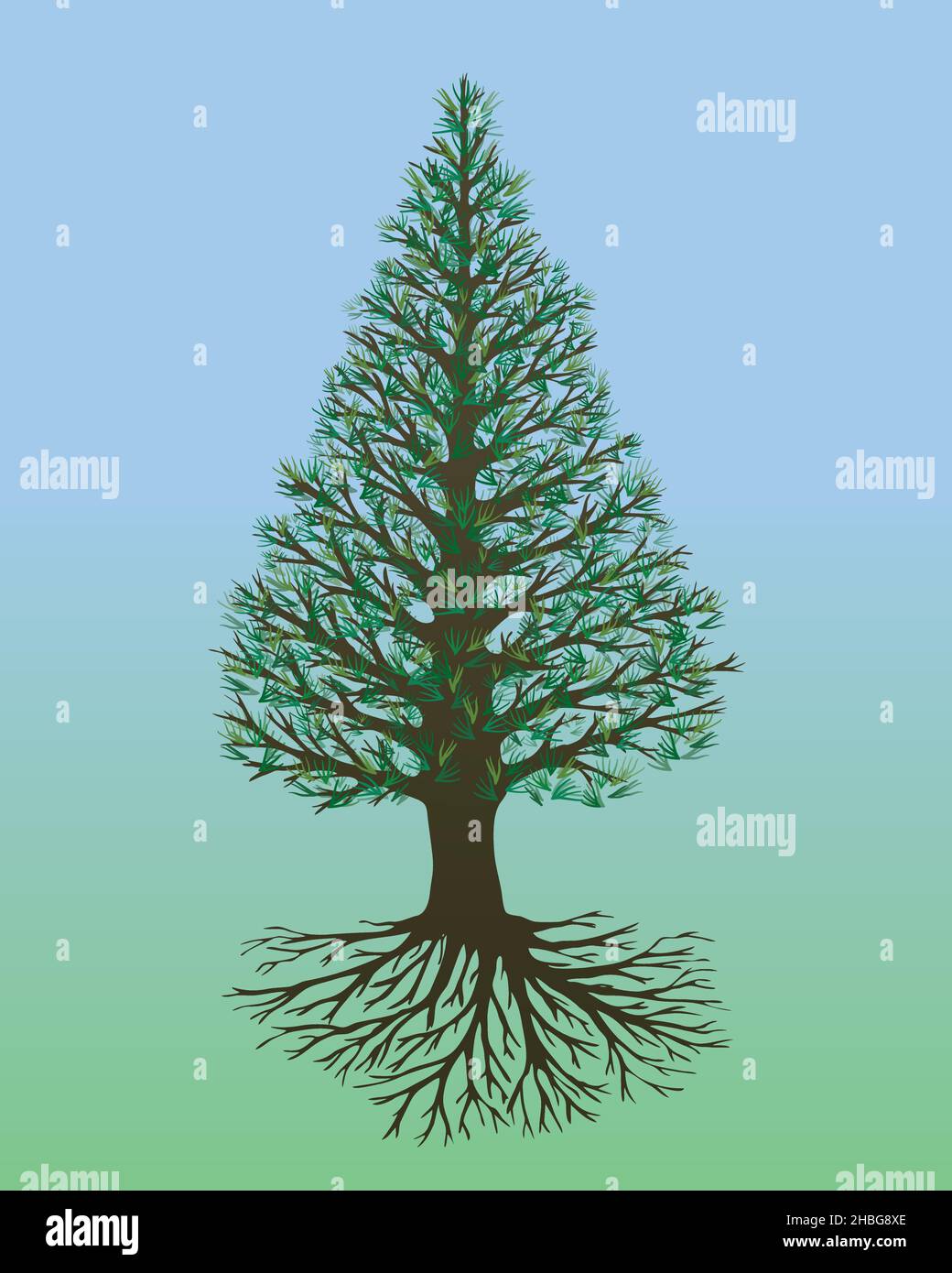 Pine Tree Roots Clip Art