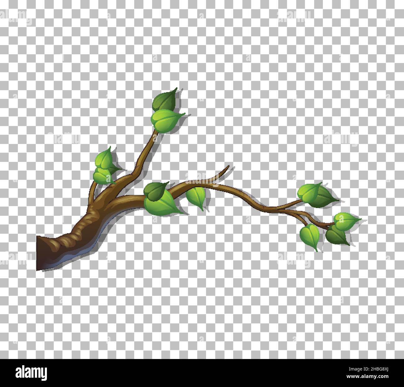Tree branch on transparent background illustration Stock Vector Image ...