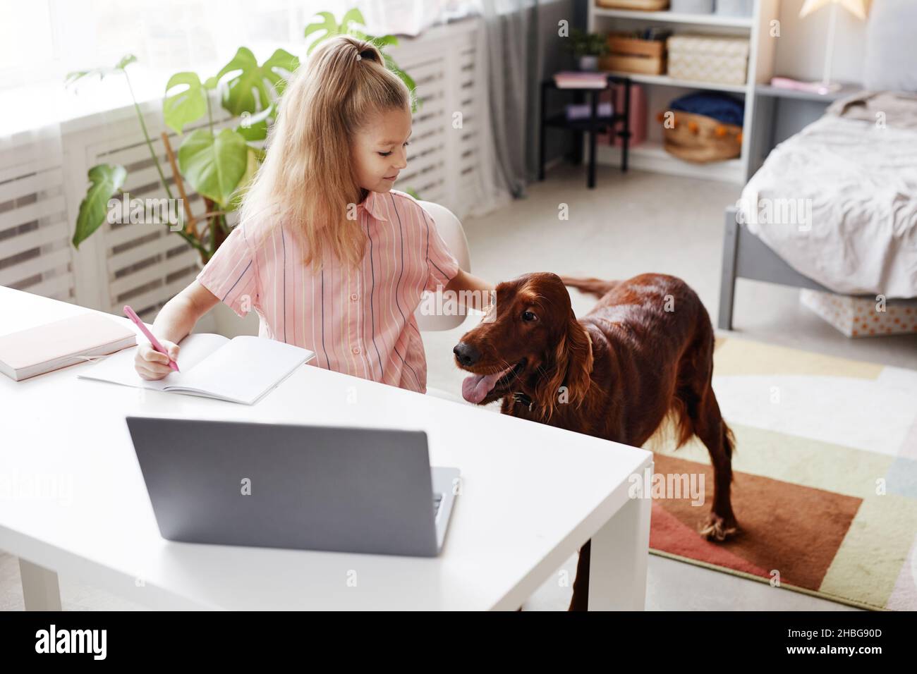 High angle portrait of smiling blonde girl petting dog while studying ...