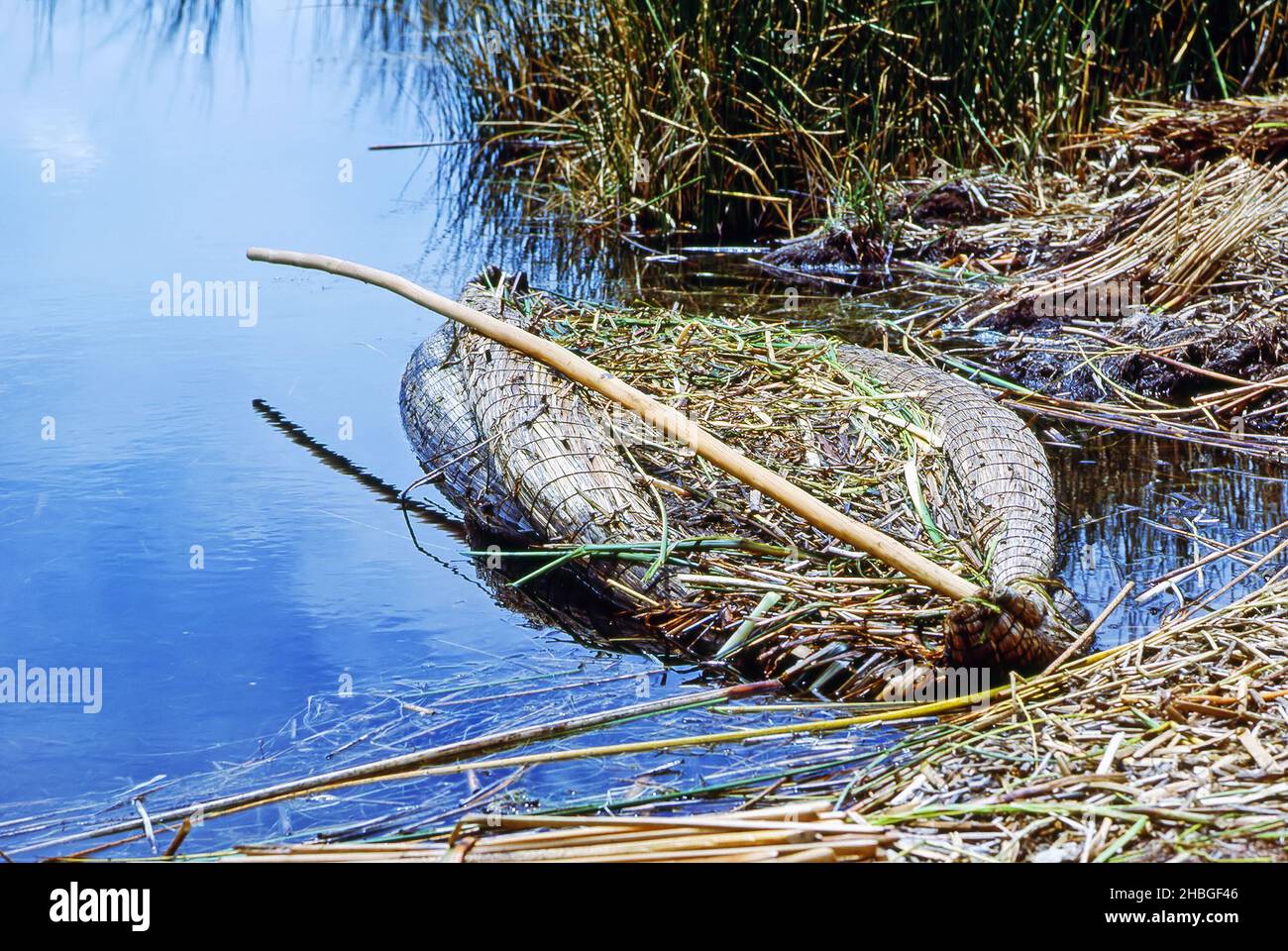 Totra boat hi-res stock photography and images - Alamy