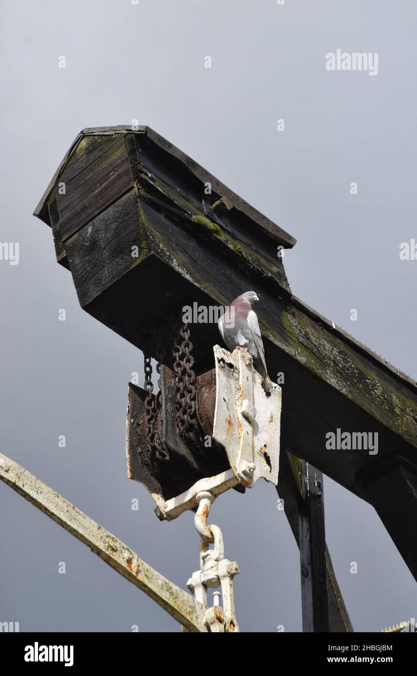 Old hoist hi-res stock photography and images - Alamy