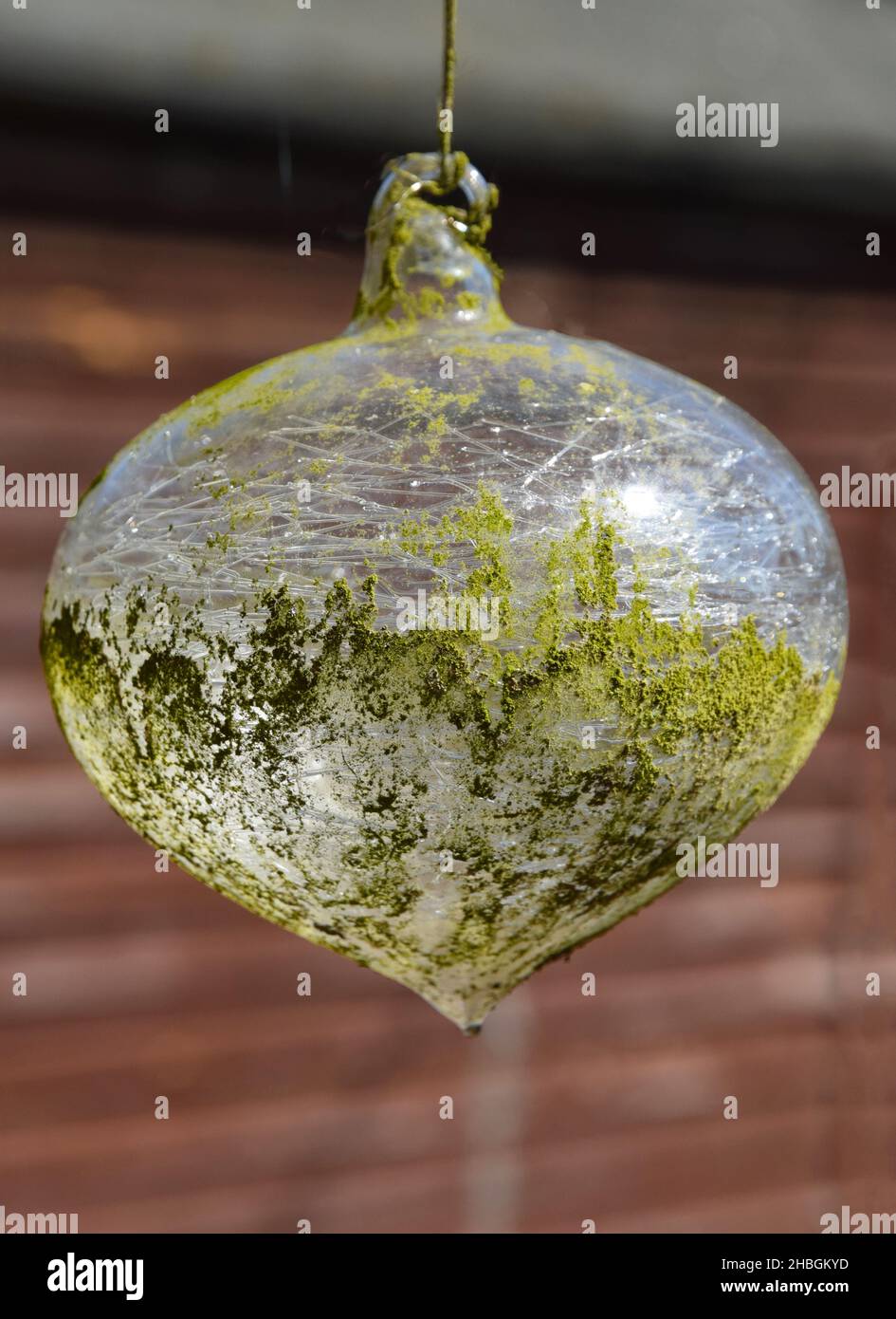 Plastic garden ornament hi-res stock photography and images - Alamy