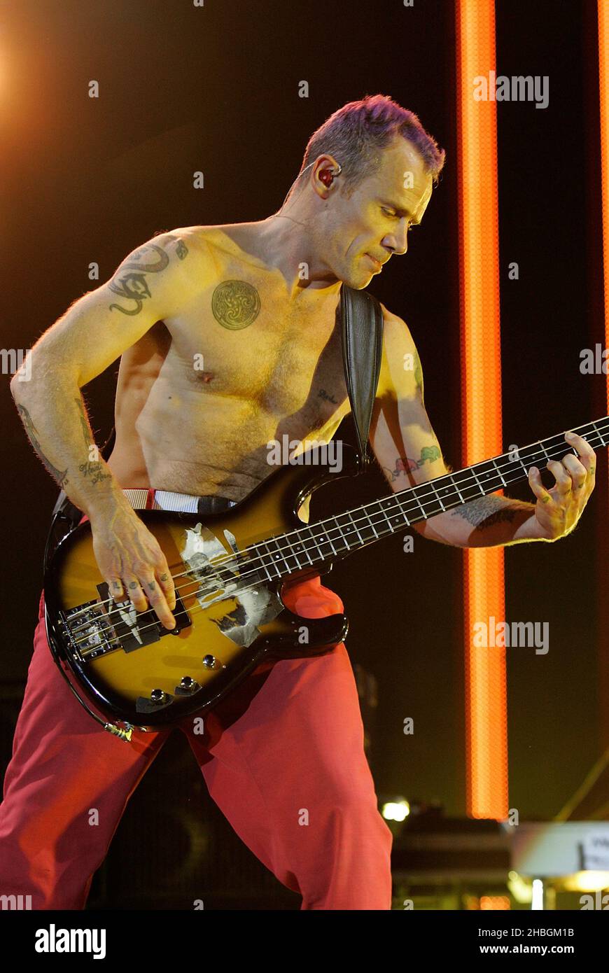 Flea of The Red Hot Chili Peppers performing at the O2 Arena in London ...