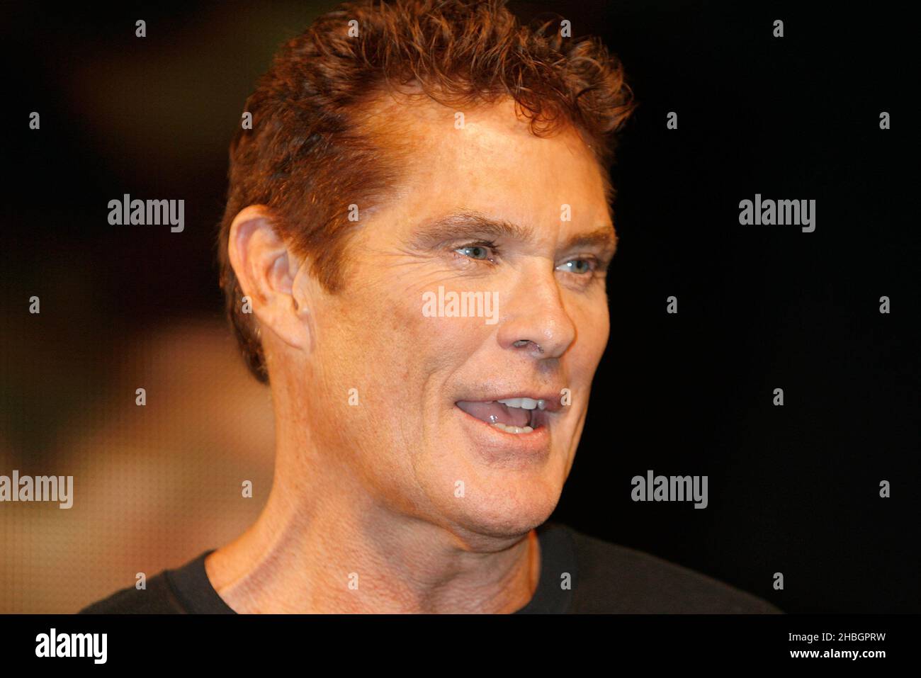 David Hasselhoff during a photo call for his album 'This Time Around ...