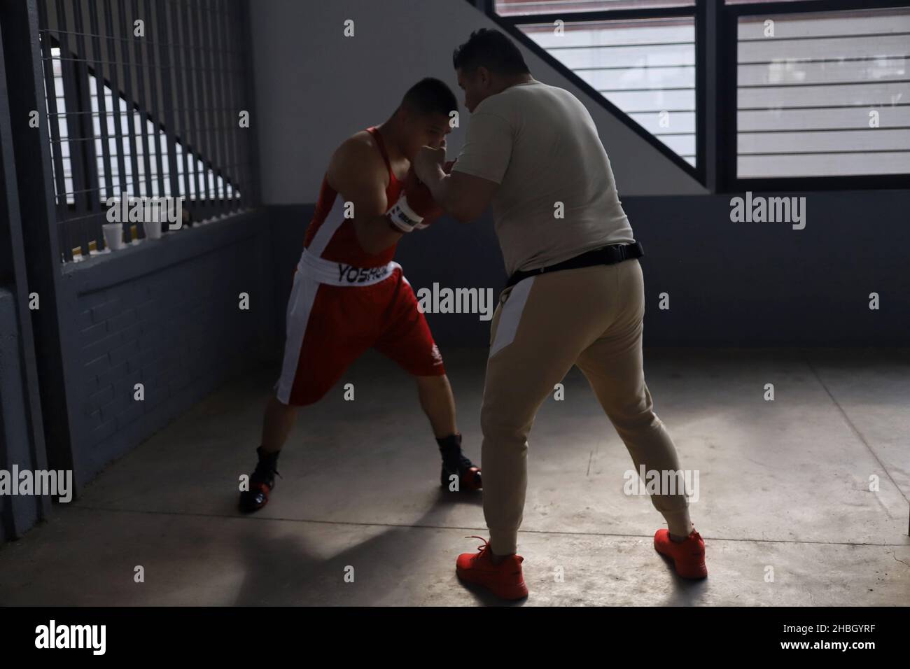 Professional boxing commission hi-res stock photography and images - Alamy