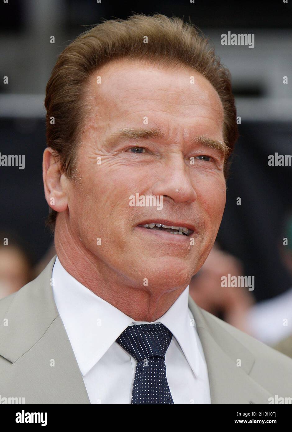 Arnold Schwarzenegger Back In Shape For Expendables 2