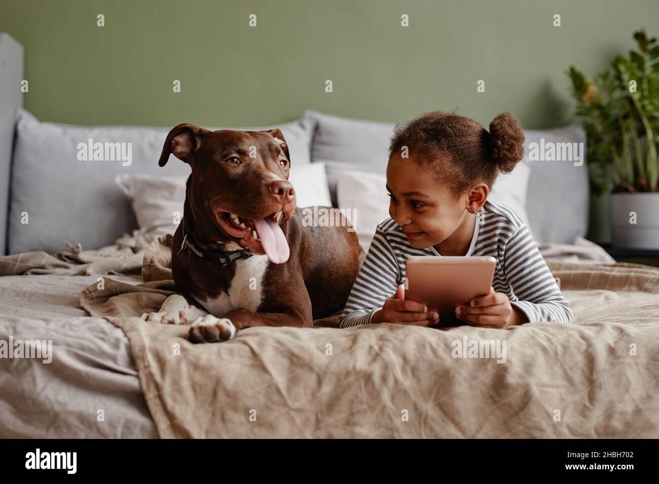 Front view portrait of cute African-American girl lying on bed with big ...