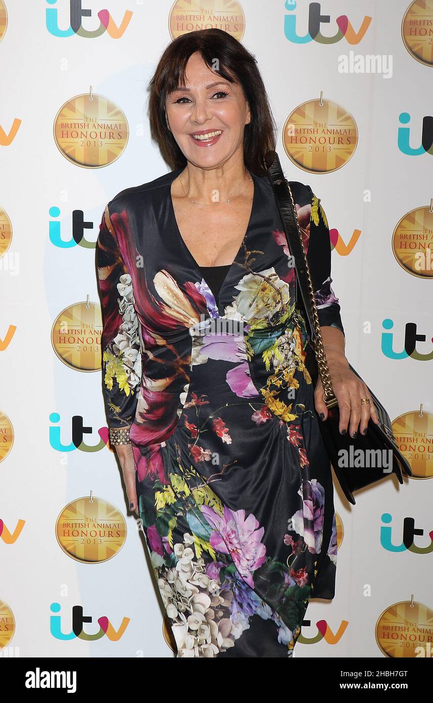 Arlene Phillips attending the British Animal Honours Awards 2013 in ...