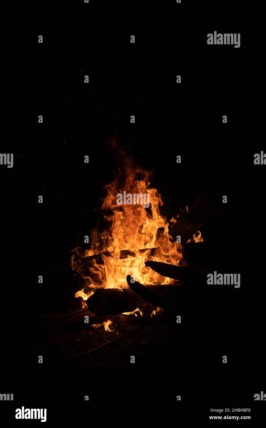 A scenic shot of a fire burning the wood in complete darkness in the ...