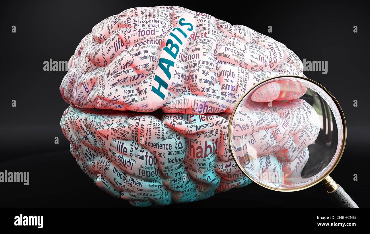 Habits in human brain, a concept showing hundreds of crucial words ...