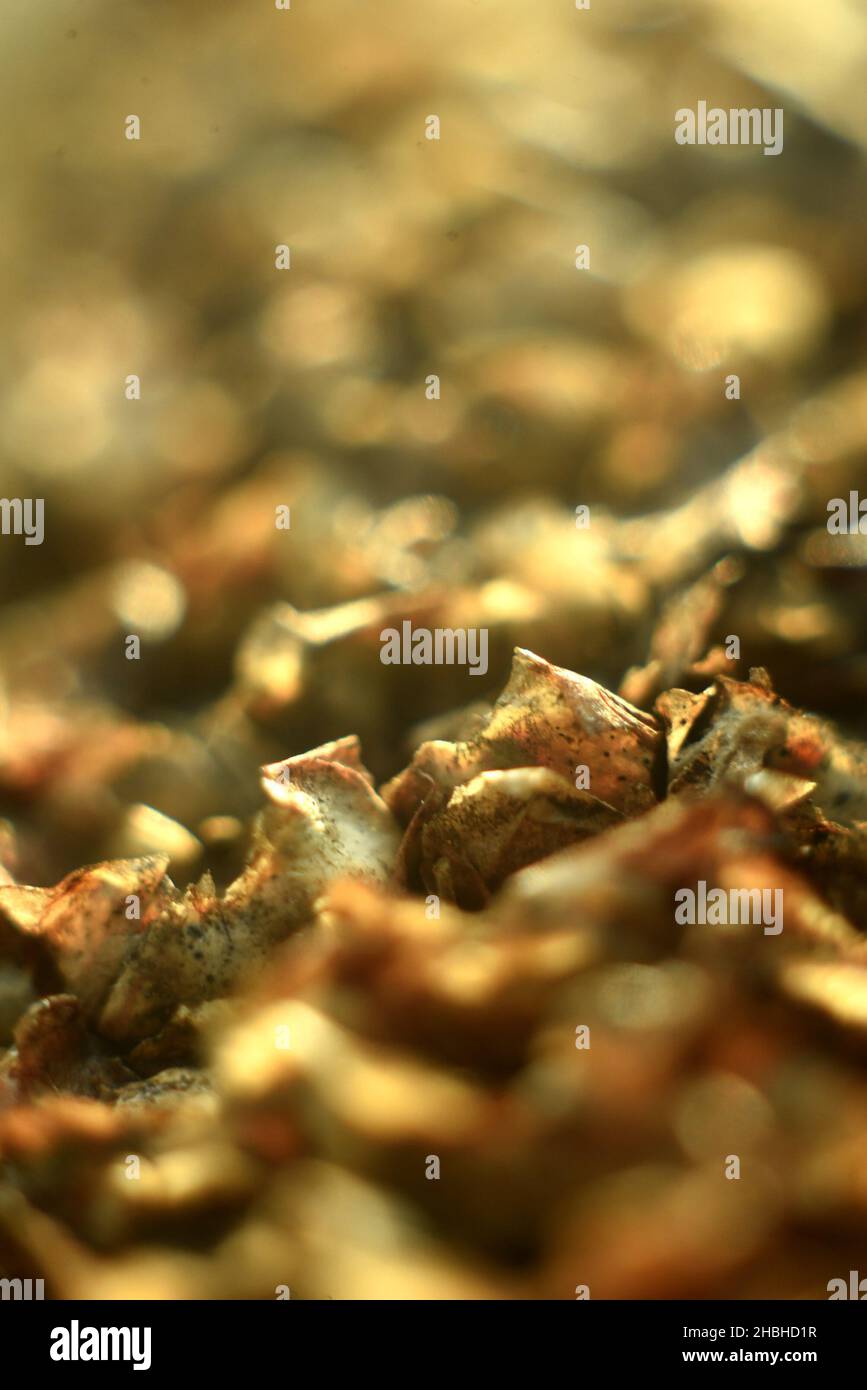 Textured radiation hi-res stock photography and images - Alamy