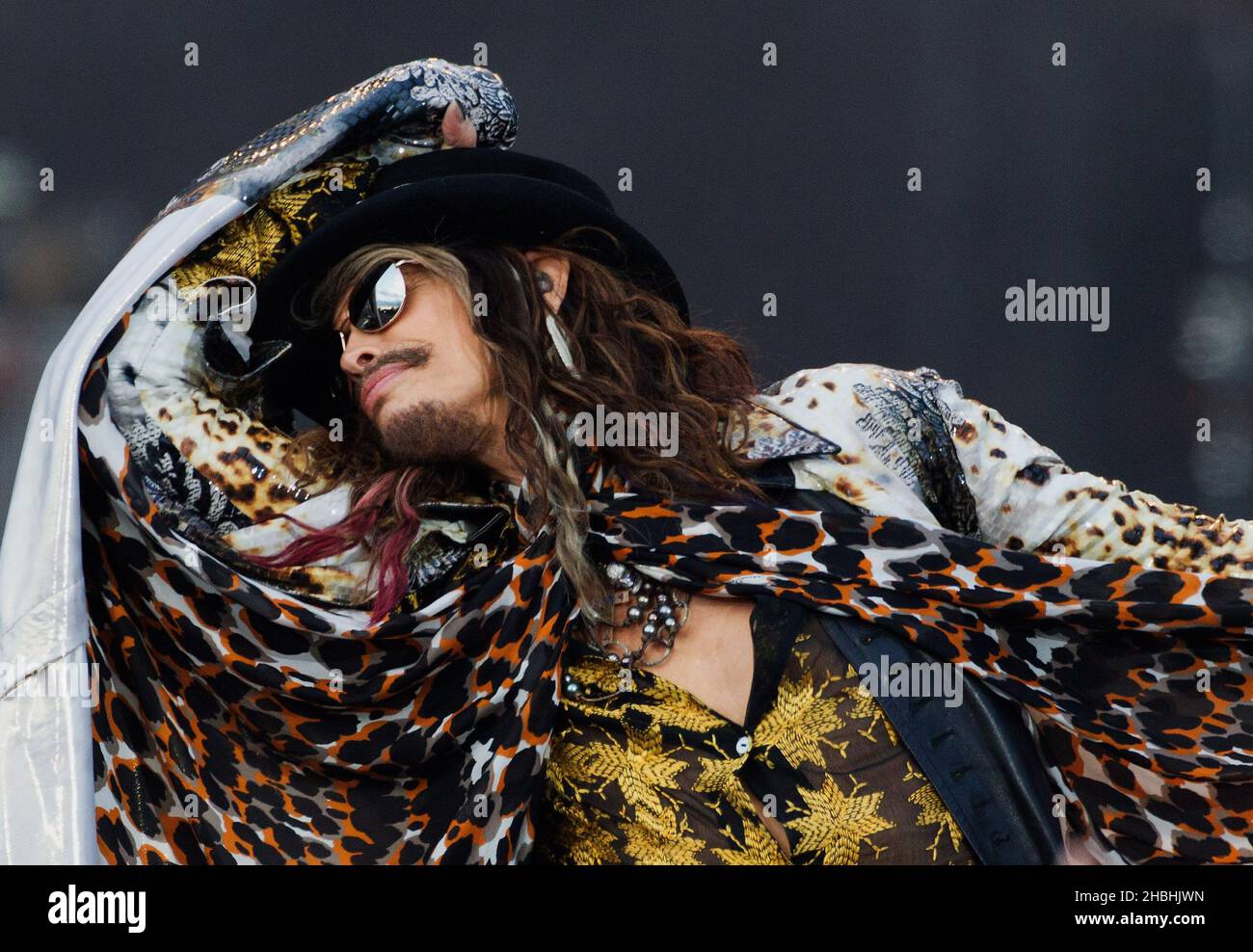 Steven Tyler of Aerosmith performs on stage at the Calling Festival on ...