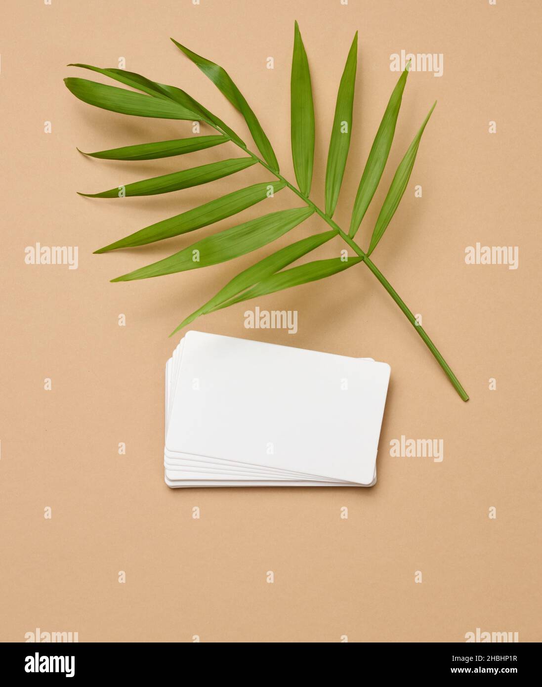 a stack of rectangular white paper business cards and a leaf of a palm ...