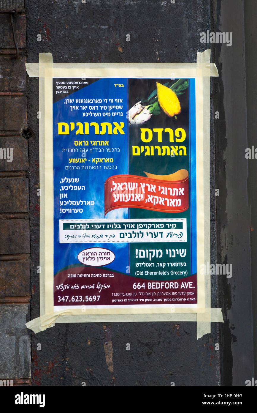 Jewish worshipping hi-res stock photography and images - Alamy