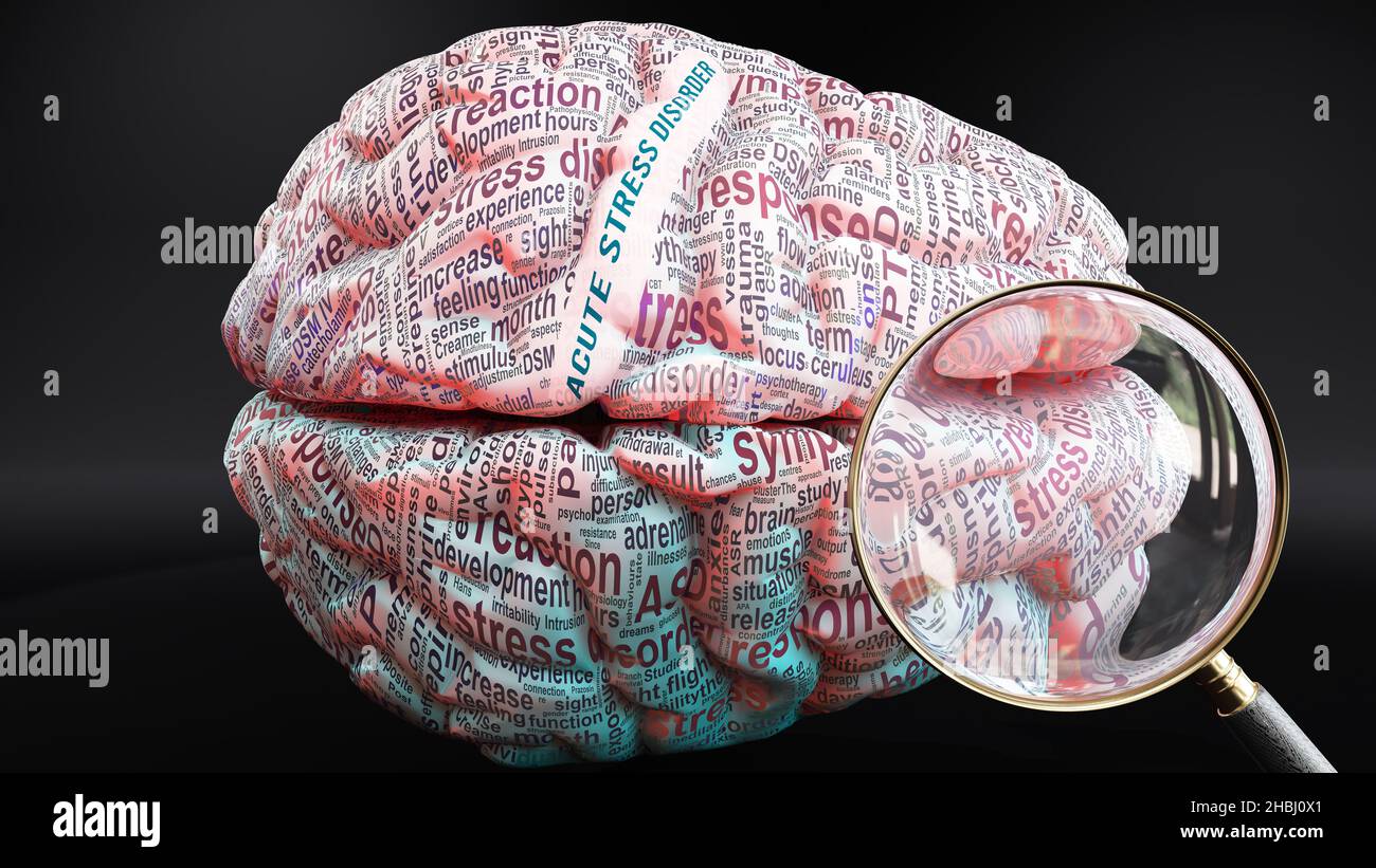 Acute stress disorder in human brain, hundreds of terms related to ...