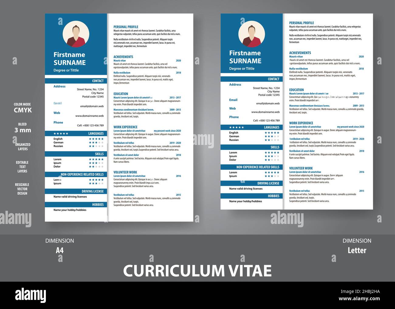 Editable resume, vector template CV, dimensions A4 and letter ...