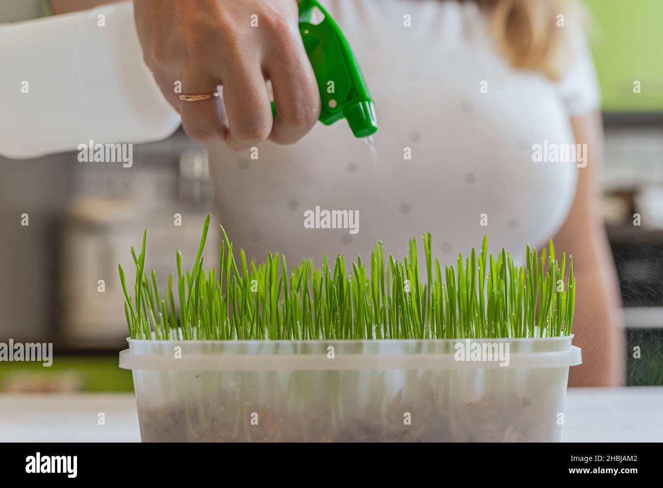 Spraying grass water bottle hi-res stock photography and images - Alamy