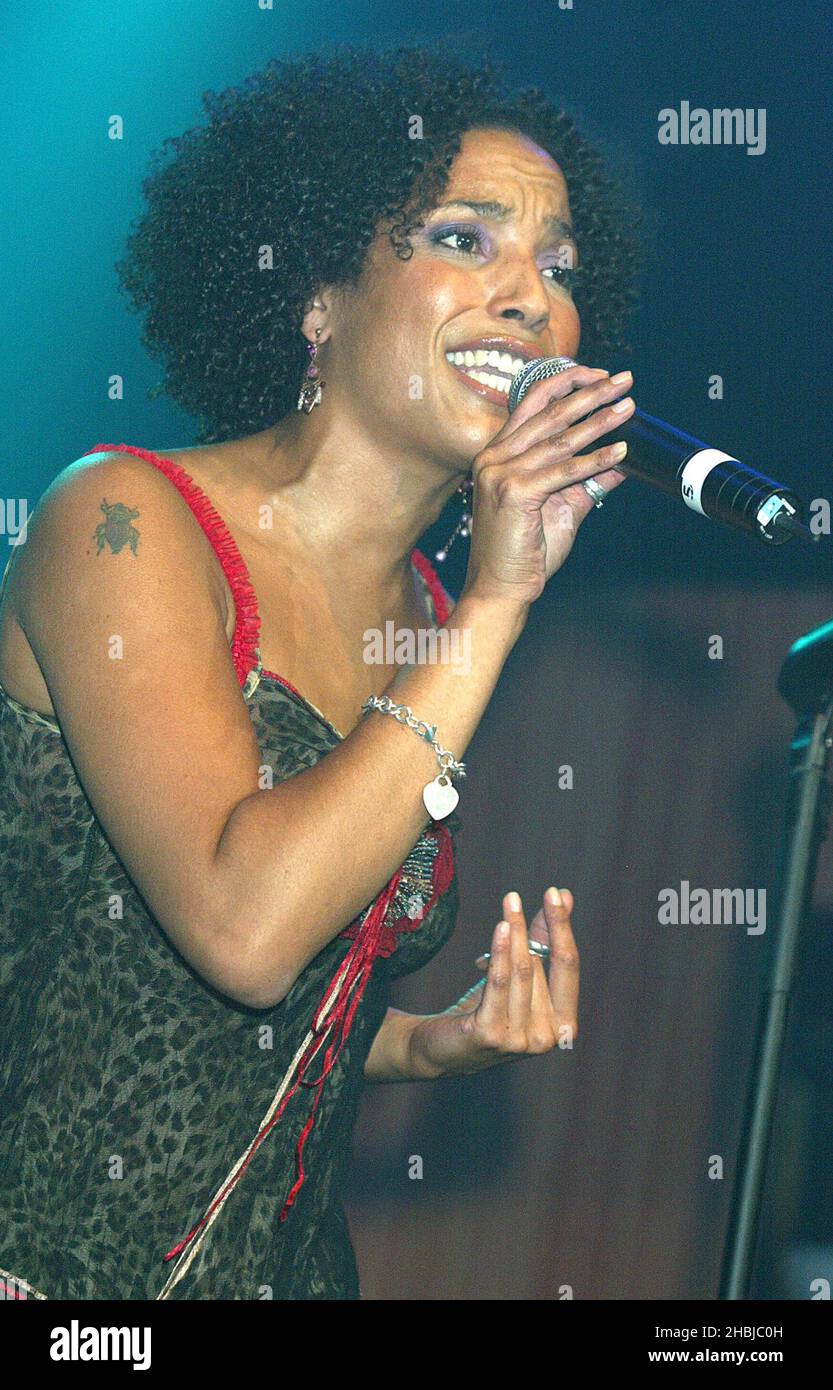 Live mouse hi-res stock photography and images - Alamy