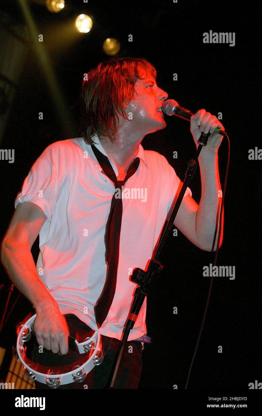 The dogs band hi-res stock photography and images - Alamy