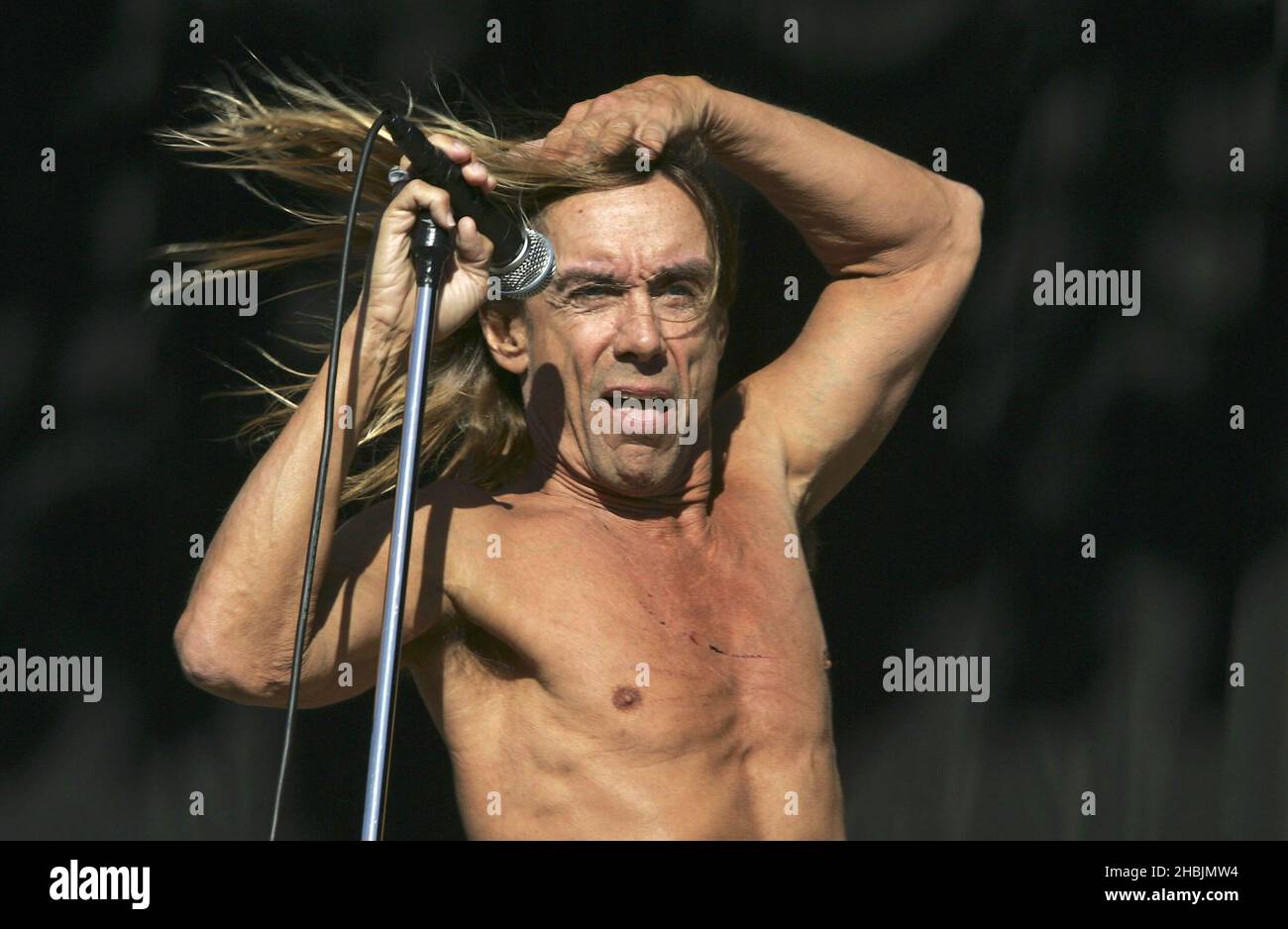 Iggy Pop performs live on stage at the third and final day of The ...