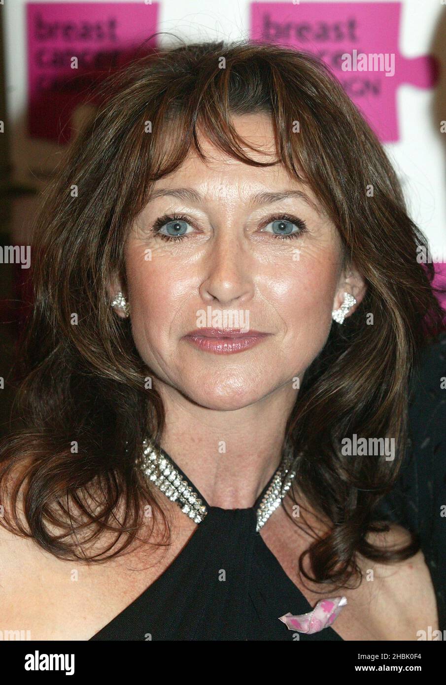 Cherie Lunghi arrives at the Pink Ribbon Ball at the Dorchester Hotel ...