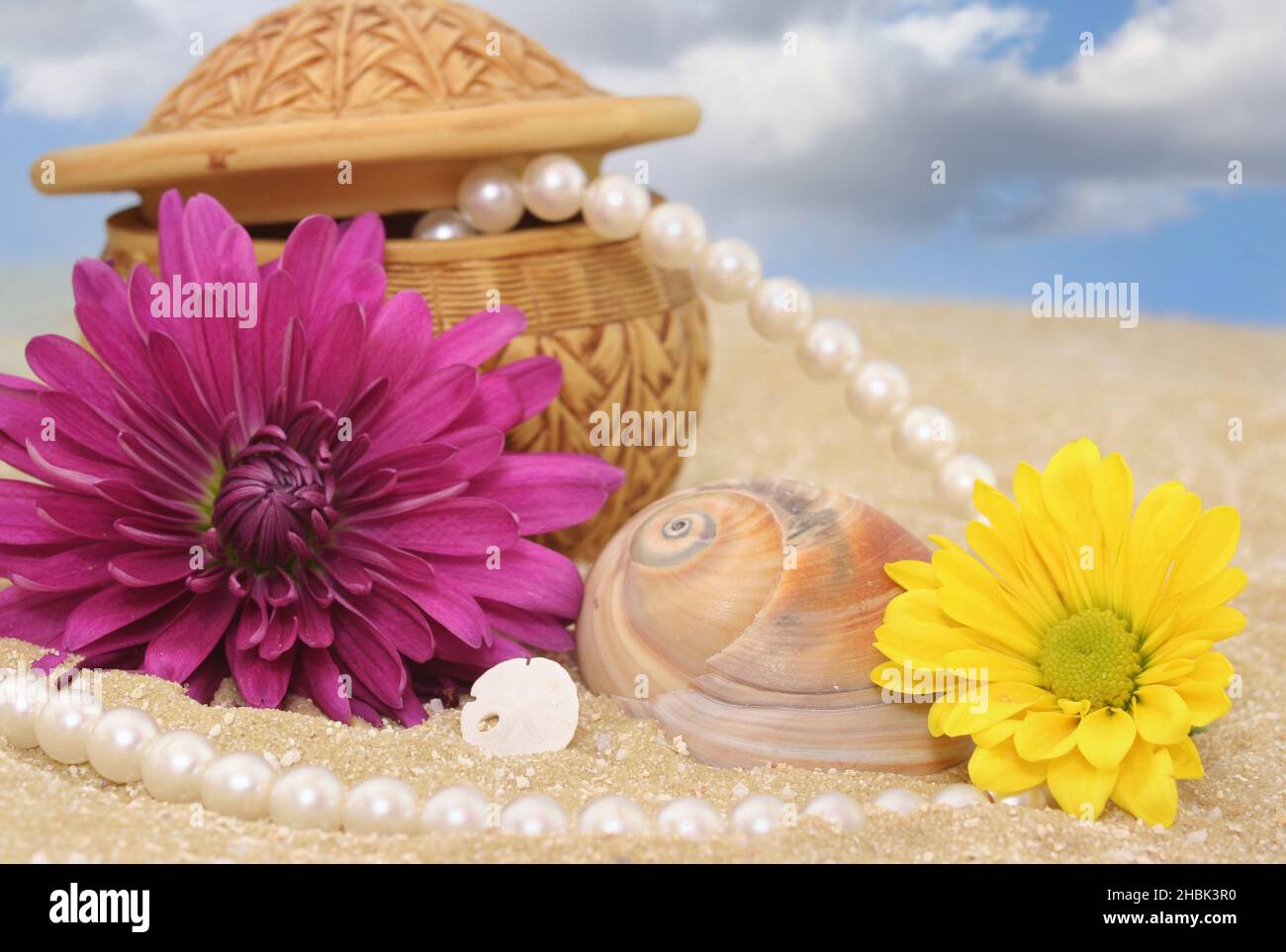 Flowers and Sea Shells on Sandy Beach, Shallow DOF Stock Photo - Alamy