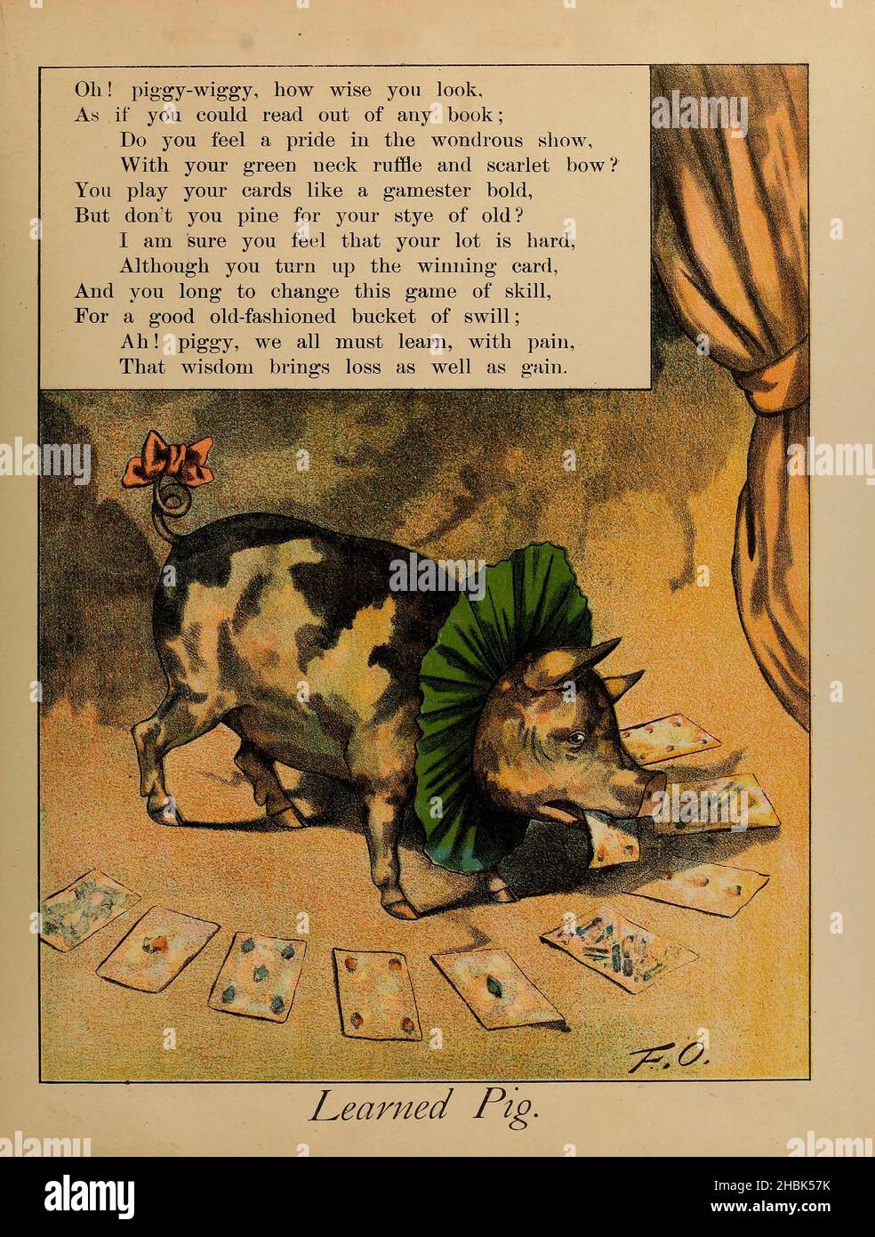 Learned Pig from the book ' A museum of wonders ' and what the young ...