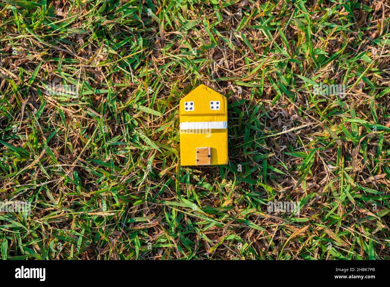 Wooden modern house on green grass with sun light concept image of make ...