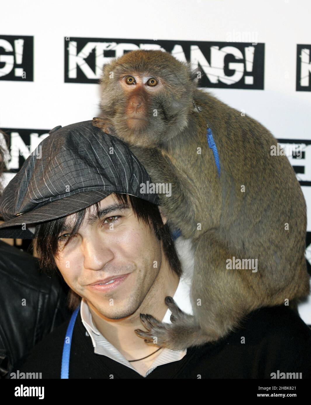 Boy with a monkey hi-res stock photography and images - Alamy
