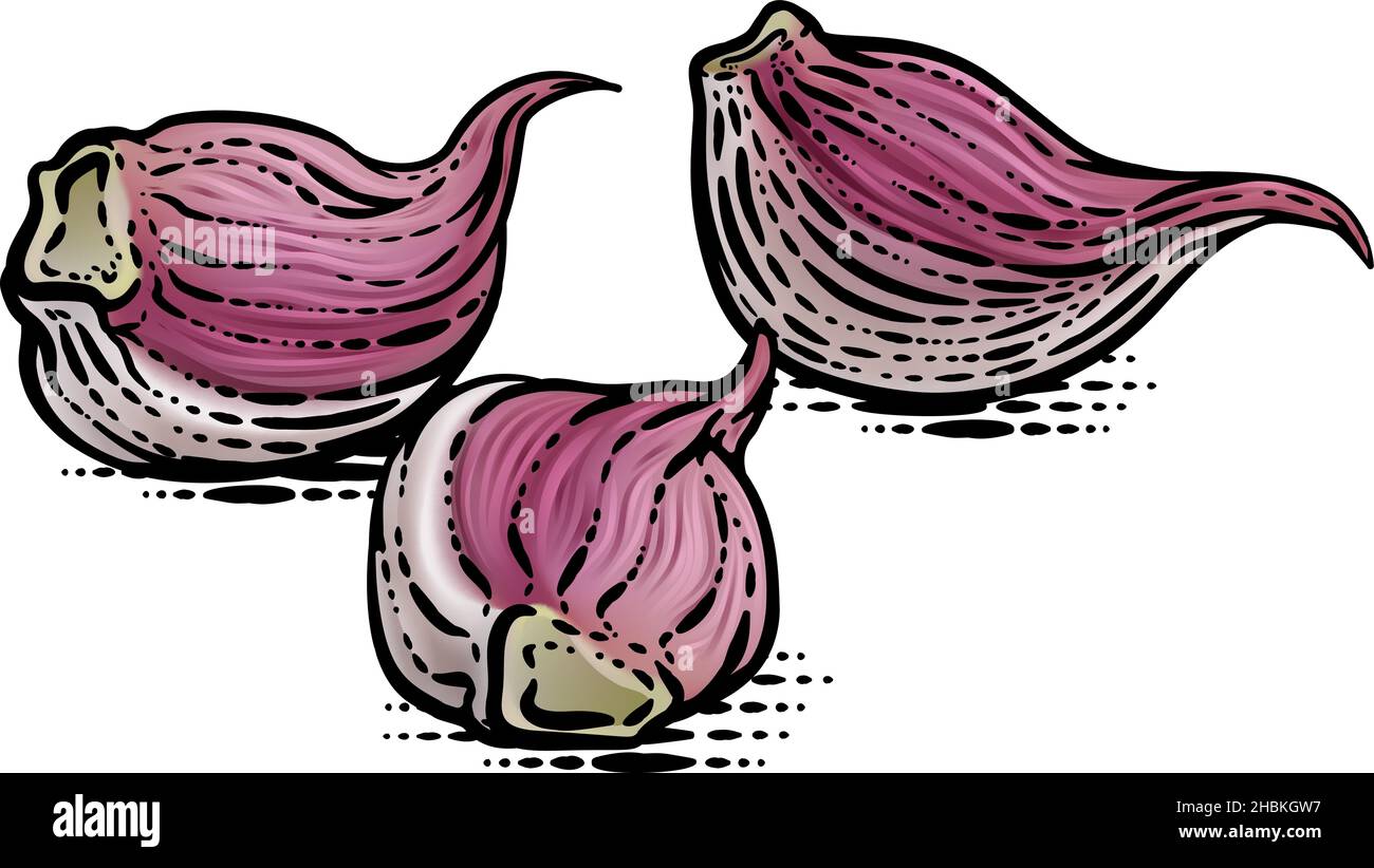 Vegetable cookery Stock Vector Images - Alamy