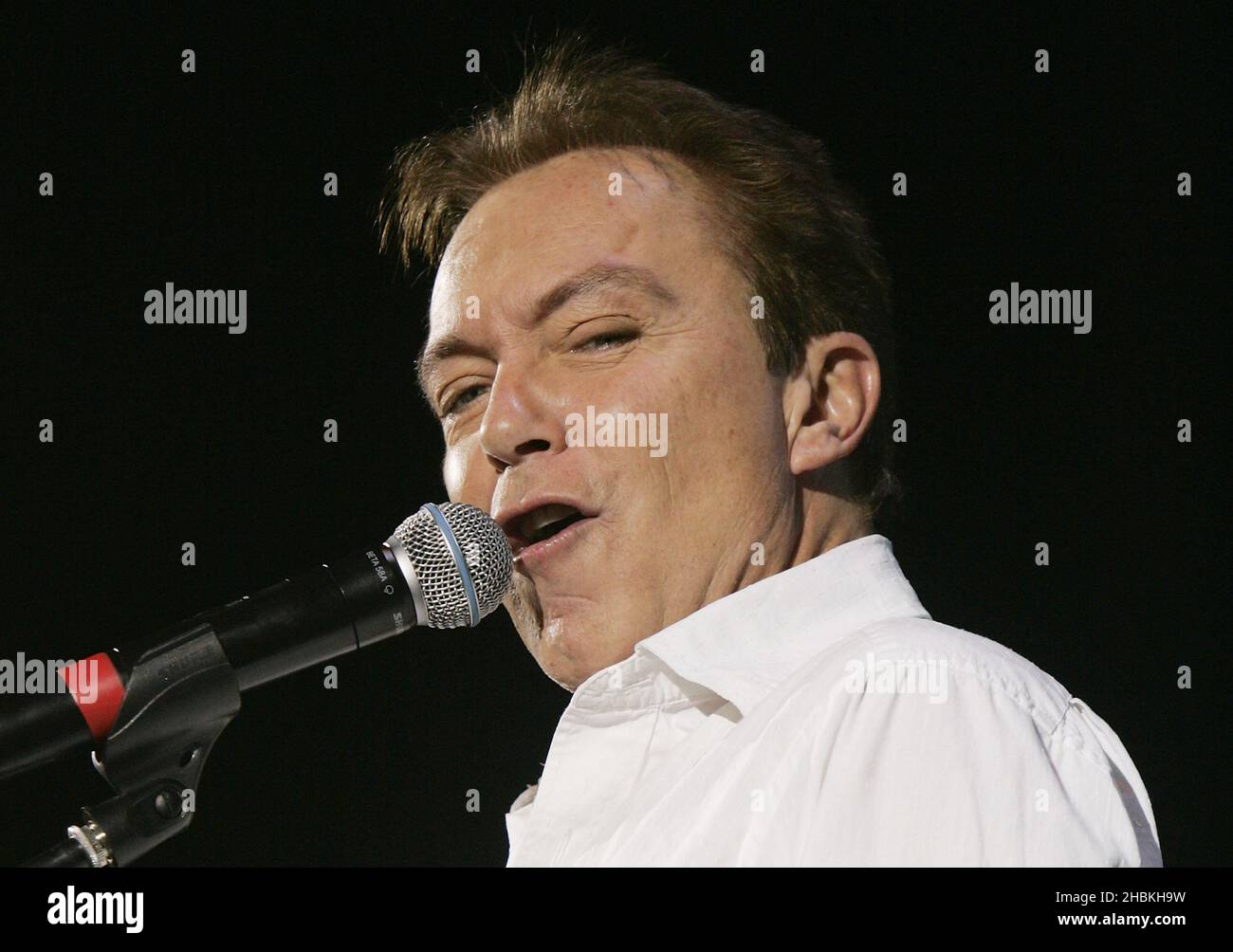 David cassidy performs live in concert at hammersmith apollo hi-res ...