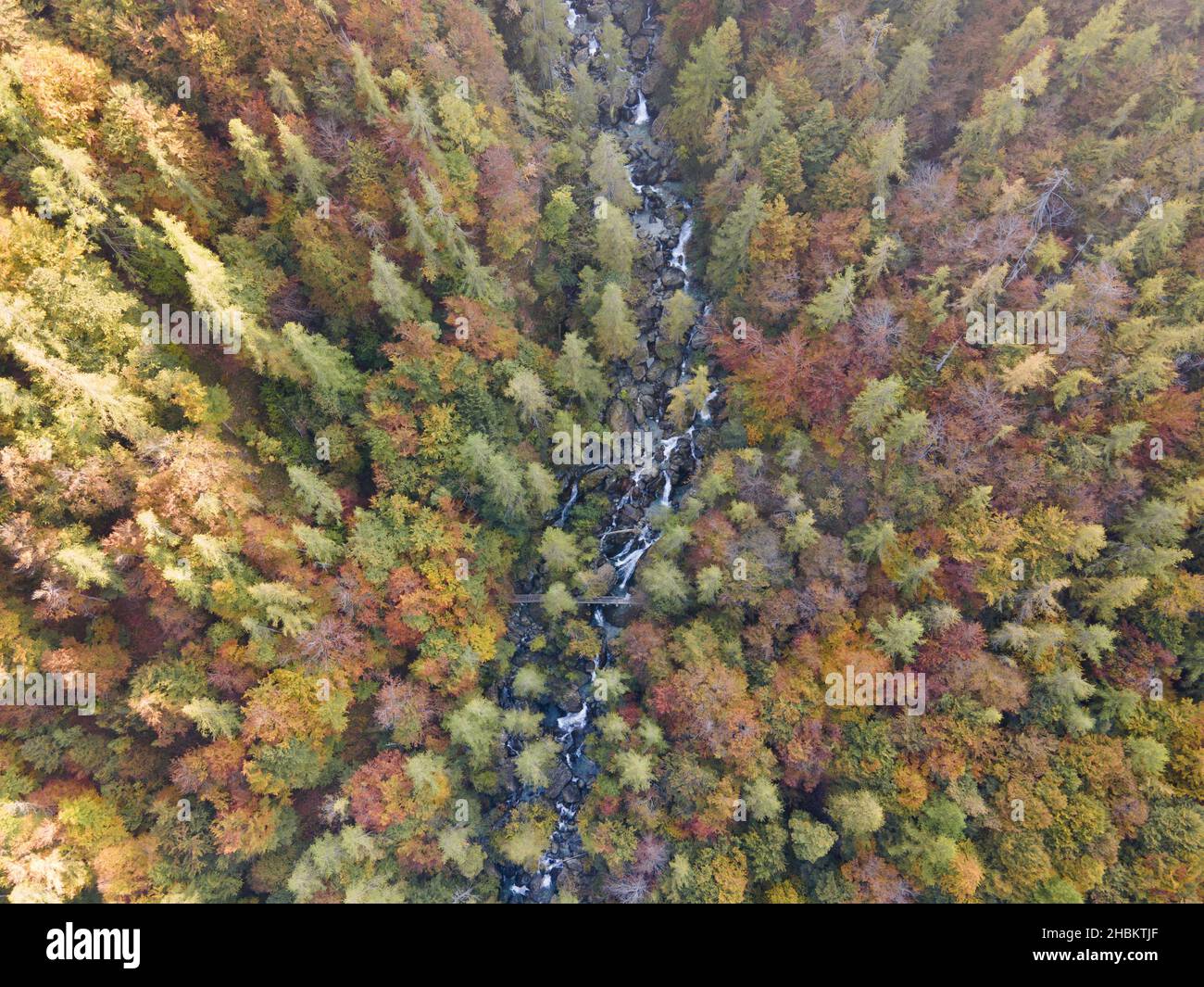 An aerial shot of a lake in between mountains covered in colorful trees ...